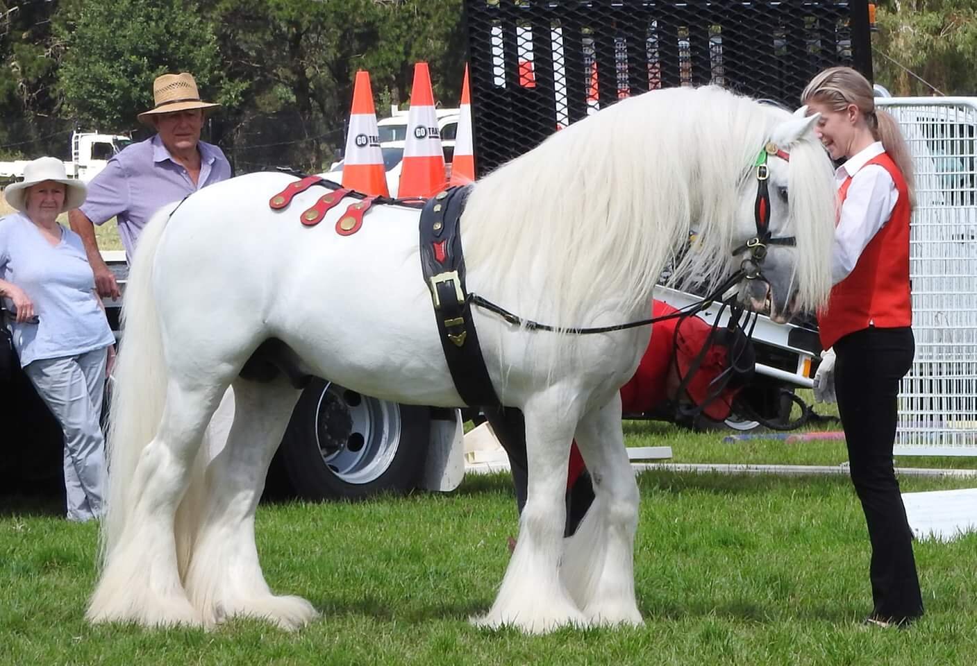 Home [www.gallopinggoop.nl]
